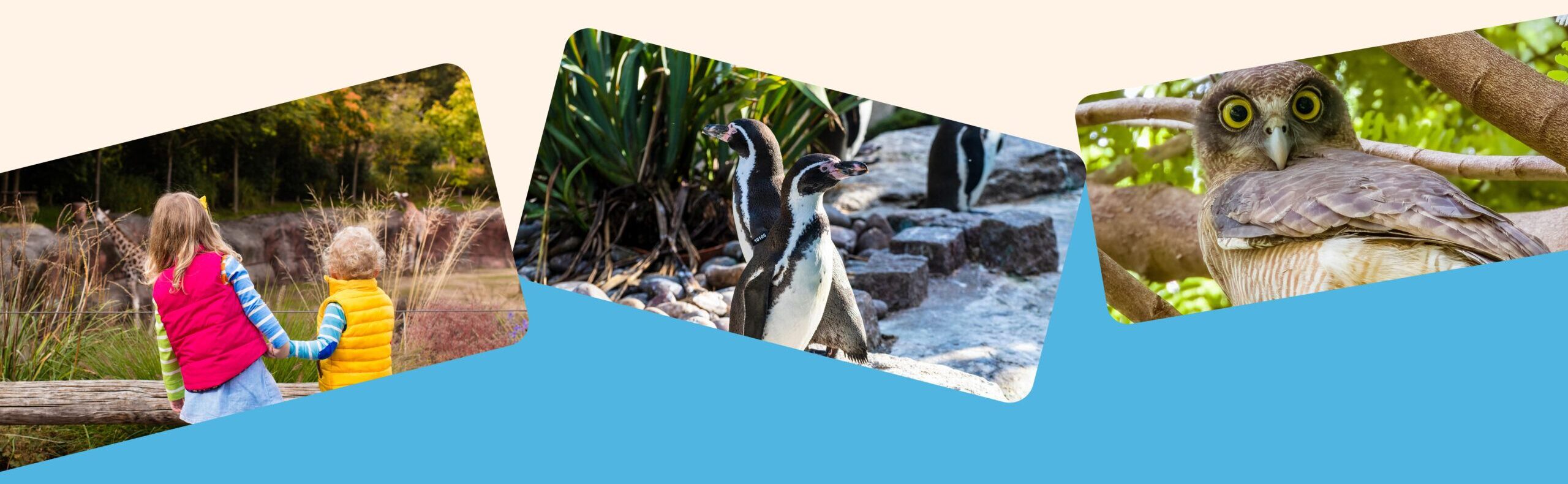 Birdworld