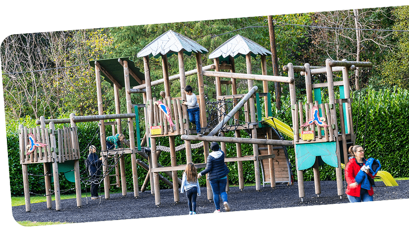 Facilities & accessibility - Birdworld